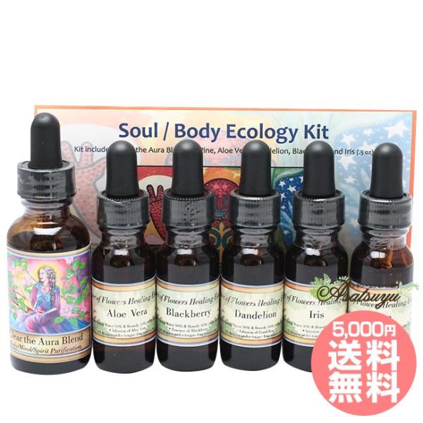 光の源を目覚めさせるパワーオブフラワーのソウル/ ボディエコロジーセットは、『人間のあり方』から生じる症状を取扱い、DNAの基盤や遺伝子コードの中にある光の源を覚醒させるサポートをするパワーオブフラワーのクリアザオーラブレンド30mlとパイ...