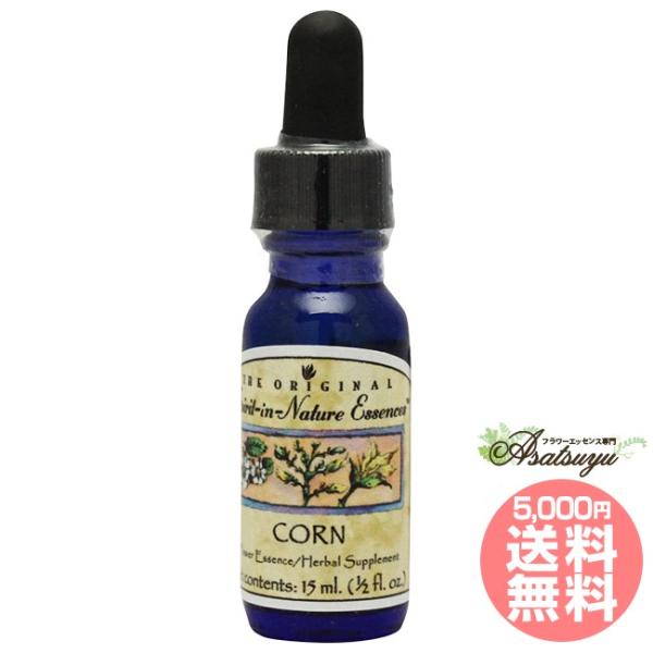 古い習慣、思考からの脱却キーワードは「精神的なバイタリティー」。古い思考と習慣から脱却し、私はできると思わせ前進させてくれますCorn商品名：コーン バイタリティー スピリットインネイチャー フラワーエッセンス