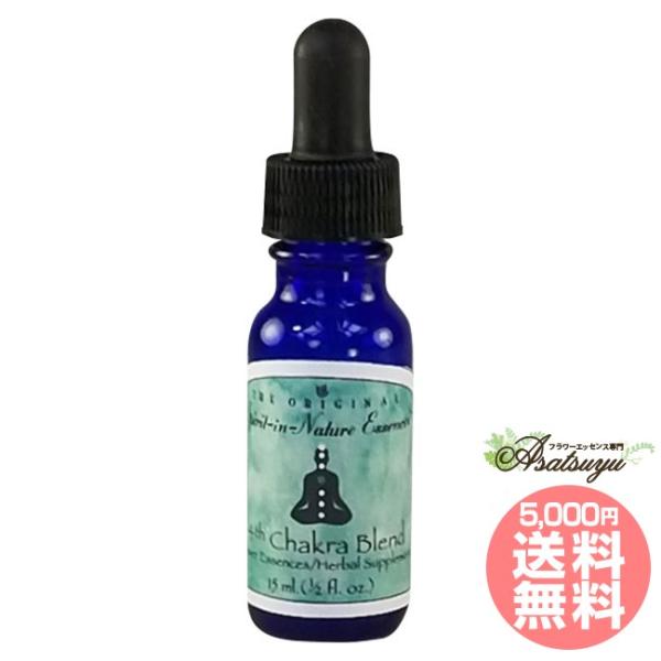 無条件の愛、拡大成長、内なる自由、生命力、全ての生命に対する一体感を育む第4チャクラは、心臓の近くの胸の中心付近に位置しています。色はグリーンでエレメントは風です。ポジティブな性質は無条件の愛、拡大成長、内なる自由、生命力、全ての生命に対す...