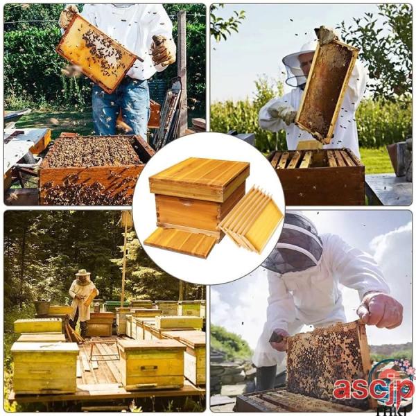 【理想的なツール】養蜂は芸術であり、デラックスビーハイブスターターキットは、養蜂家が最初の蜂のコロニーを始めるための最高の方法です。これにより、ハチミツの採集が楽しくなり、初心者や上級の養蜂家にとって簡単になります。【養蜂製品】養蜂箱網の設...