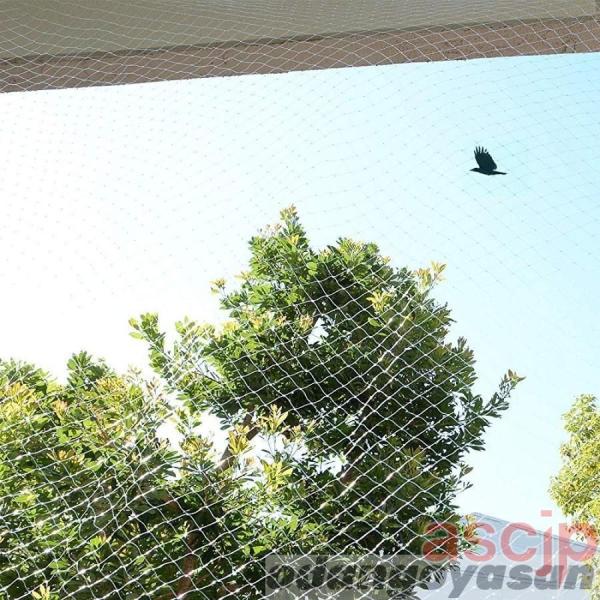 防鳥ネット ３×８ｍ 鳥よけネット 透明 カラスよけ 鳩よけ ベランダ 害獣対策グッズ  ポイント消化 SxP