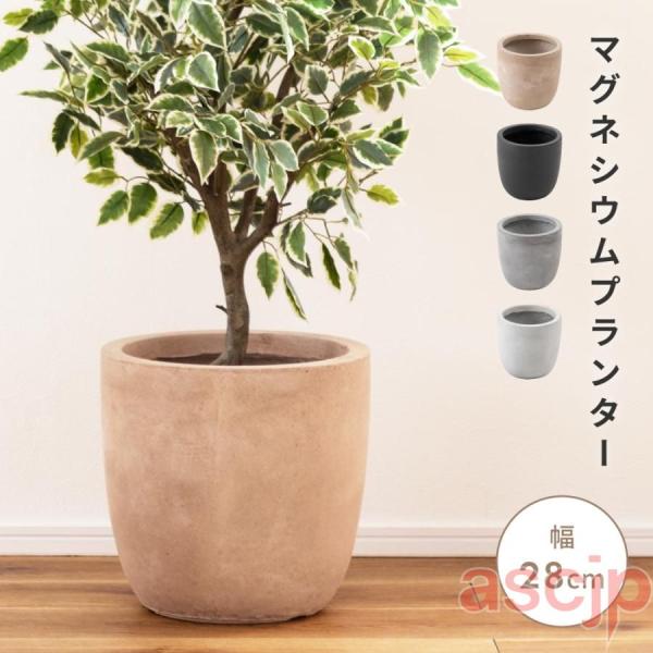 ●シンプルなカラーと丸いフォルムで取り入れやすいマグネシウムプランター●環境にやさしい酸化マグネシウム製●お部屋に馴染みやすいシンプルデザインころんとかわいらしい丸いフォルムと、どんなスタイルにも溶け込むカラーが特長です。●選べる2サイズサ...