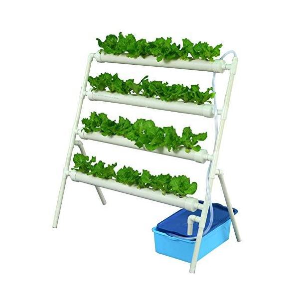 水耕栽培キット すいこう栽培キット 野菜 栽培キット 室内 いちご 家庭菜園 水耕栽培セット プランター 36穴