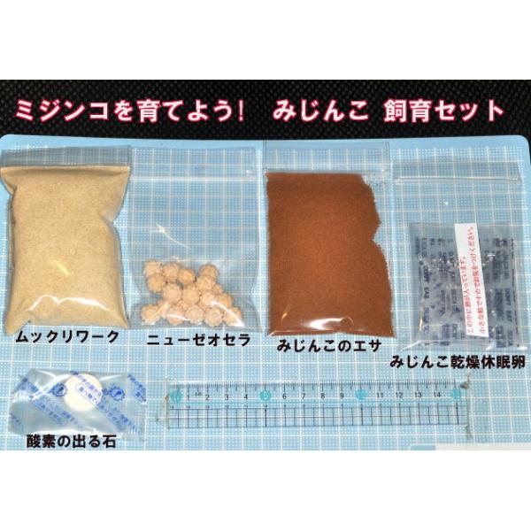 ムックリワーク （ミジンコ繁殖促進飼料）10gみじんこのエサ　20gニューゼオセラ　20個タマ　ミジンコ　みじんこ　乾燥　休眠卵　100粒酸素の出る石　1個のセットの出品です。飼育容器（300CC〜1L位）の水の中にニューゼオセラ　軽く水洗...