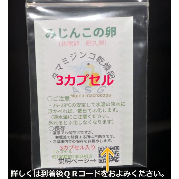 国産　みじんこ　乾燥タマミジンコ休眠卵 　(耐久卵）3カプセル　約300粒　約600匹相当国産　人工的培養により純粋なタマミジンコ休眠卵タマミジンコ休眠卵には大きく2種類市場に出ています。1種類目は休眠卵を冷水に入れて販売されています。この...