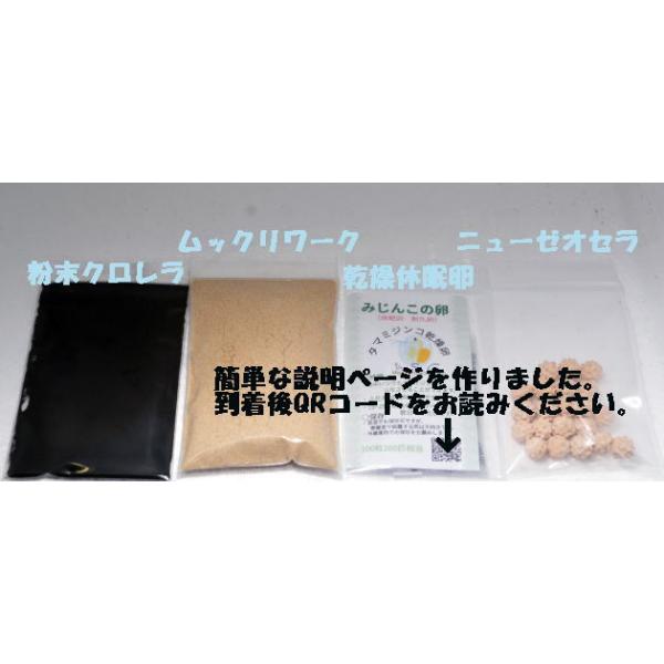 簡易梱包・クリックポストで発送！ムックリワーク 10g粉末クロレラ　10g   ニューゼオセラ　20個国産　タマ　ミジンコ　乾燥　休眠卵　1カプセル　約100粒　約200匹相当のセットの出品です。 ・25~29℃の安定した水温の淡水に浮かべ...
