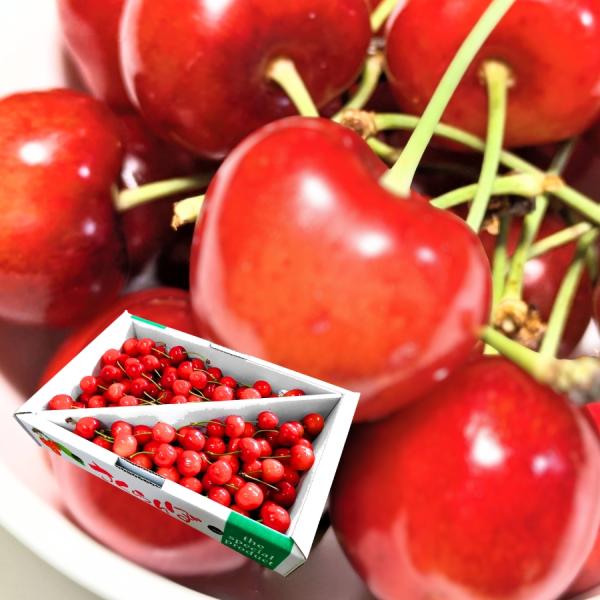 酸味控えめで甘みが強い人気のさくらんぼ「紅秀峰（べにしゅうほう）」を山形から産地直送でお届け。旬のおいしさをご賞味ください。《バラ詰め》ボリュームいっぱいに旬の贅沢を楽しめる「バラ詰め」。鮮度が命のさくらんぼを、最も美味しい瞬間にたっぷりと...