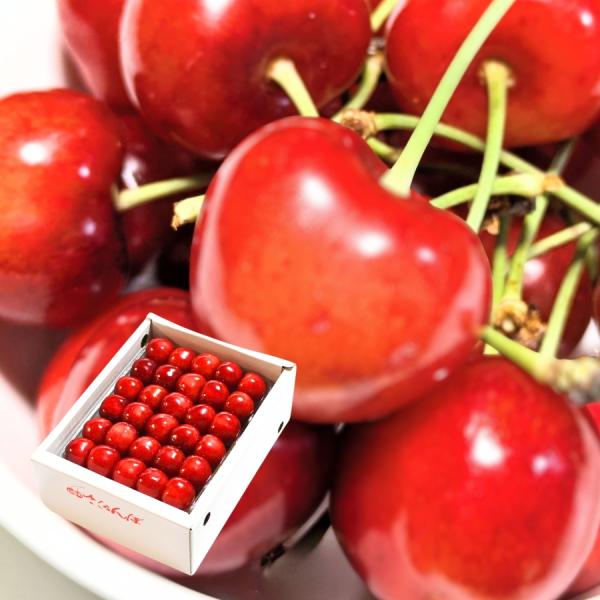 酸味控えめで甘みが強い人気のさくらんぼ「紅秀峰（べにしゅうほう）」を山形から産地直送でお届け。旬のおいしさをご賞味ください。《並び詰め》熟練の職人がさくらんぼ一粒一粒の色付きや形の良いものを見極め、丁寧に詰めた「並び詰め」。容器の形に合わせ...