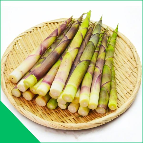 【発売日：2026年06月21日】量目：1kg採取地：山形県月山・鶴岡方面の山域お届け方法：クール冷蔵便お届け時期：6月中旬（天候により前後します）　●お届け時期は目安になります。山の雪どけの状況によっては、最長1ヶ月程度、発送が遅れる場合...