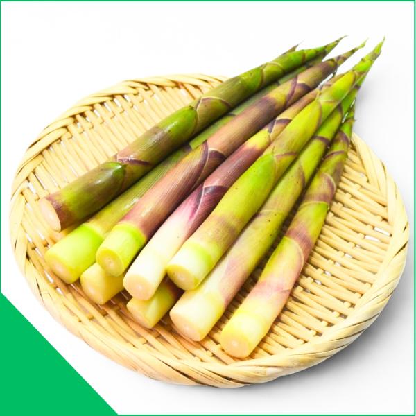 【発売日：2026年06月21日】量目：500g採取地：山形県月山・鶴岡方面の山域お届け方法：クール冷蔵便お届け時期：6月中旬（天候により前後します）　●お届け時期は目安になります。山の雪どけの状況によっては、最長1ヶ月程度、発送が遅れる場...