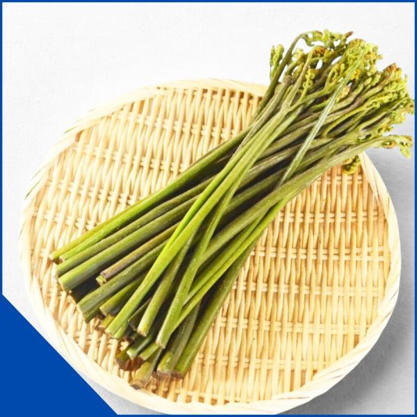 【発売日：2026年05月17日】量目：500g採取地：山形県月山・鶴岡方面の山域お届け方法：クール冷蔵便お届け時期：5月中旬〜6月上旬（天候により前後します）　●お届け時期は目安になります。山の雪どけの状況によっては、最長1ヶ月程度、発送...