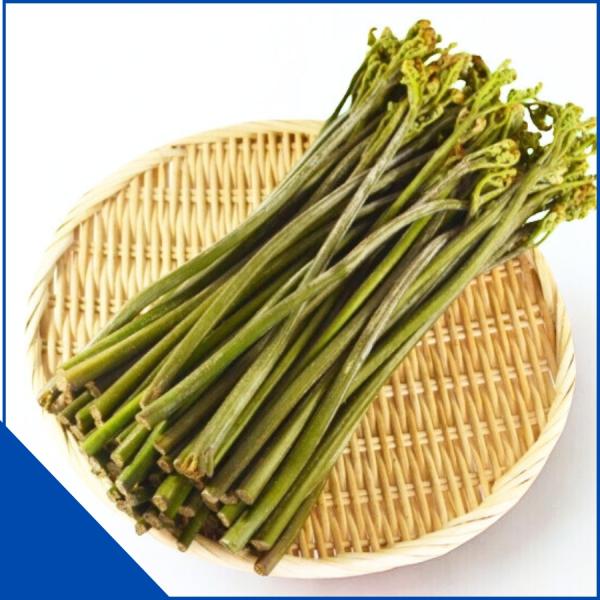 【発売日：2026年05月17日】量目：1kg採取地：山形県月山・鶴岡方面の山域お届け方法：クール冷蔵便お届け時期：5月中旬〜6月上旬（天候により前後します）　●お届け時期は目安になります。山の雪どけの状況によっては、最長1ヶ月程度、発送が...