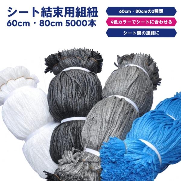【シート紐とは】シート間の連結に用いる組紐です。・こちらは、80cmの商品ページです。 ・ブラック、グレー、ホワイト、ブルー　シートに合わせてお選び下さい。 【その他】・シートとシートの接続は組紐等、緊結材を全てのハトメに使用し、容易に外れ...
