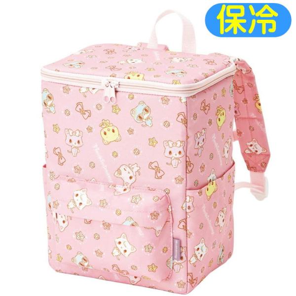 スクエア型保冷リュック大きく開いて出し入れしやすいたっぷり入るスクエア型保冷リュック！内側は保冷に適している、シルバーコーティング仕様。両サイドにポケットが１つずつ、チャック付きのポケットが１つ、中にメッシュポケット付きで小物を分けられて便...