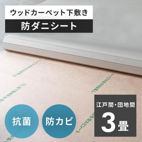 ■サイズ/枚数江戸間 団地間3畳用：約 105×260cm 2枚入り※多少サイズは前後します。■重量江戸間 団地間3畳用：約 300 g■素材クラフト紙■使用薬剤ホウ酸塩■生産国日本■備考※一面を覆えるように床材よりも大きなサイズで販売して...