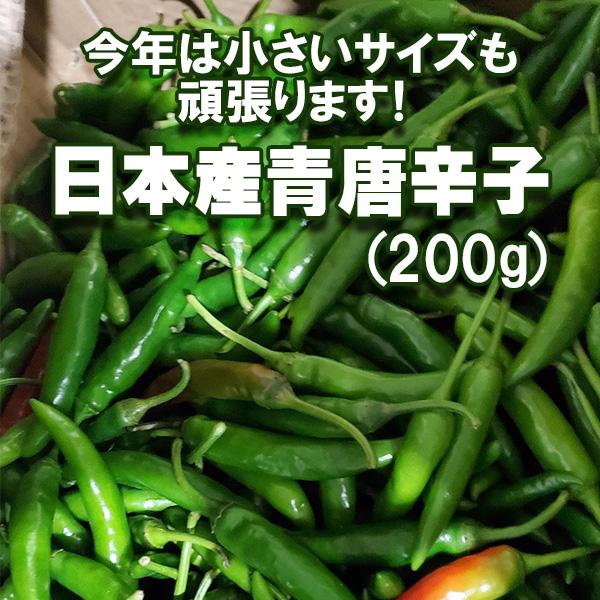 ★韓国食品・雑貨のご購入はぜひ【Asia市場】で！サイト内で税込9,000円以上のご購入で送料が無料に！(クール便代一口800円は別途かかります）■スタッフコメント今年も辛い日本産の青唐辛子を食べて、たくさん汗をかきながら夏を乗り切りましょ...