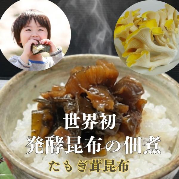 肉厚の昆布からジュワ〜っと染み出る旨み、醤油の芳ばしい香りが食欲そそる塩昆布風発酵食品です。天然酵母で発酵させた素材の甘みや旨みを凝縮した秘伝のタレを独自の「直火仕込製法」で旨みを残さず昆布に閉じ込めています。 「幻のきのこ」「だしきのこ」...