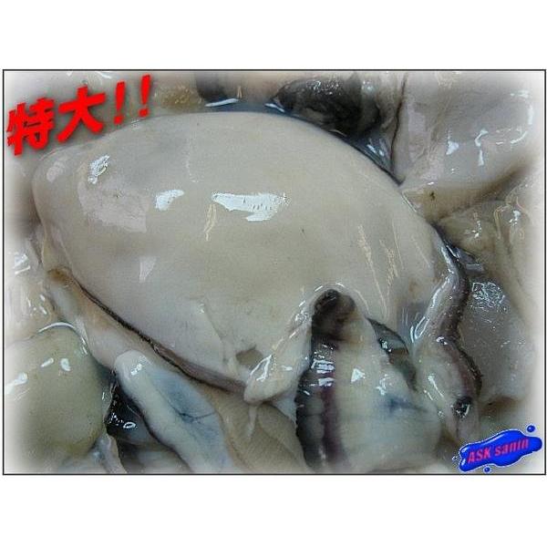 【発売日：2011年01月01日】■商品内容広島県産、牡蠣の剥き身2Lサイズ1kg入り(冷凍)30粒前後※必ず加熱してお召し上がり下さい。■お届けについて着日指定可能■同梱について他商品との同梱可能(冷凍商品に限ります)■賞味期限到着後2日...