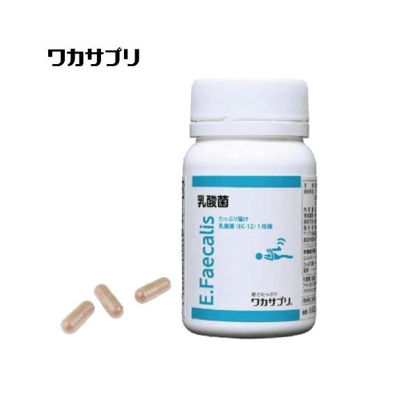 【代引き手数料無料】ワカサプリ　乳酸菌（EC-12）　90粒入り（約30日分）3粒に約1兆個の乳酸菌を配合したサプリメントです。乳酸菌EC-12（フェカリス菌）は元々私たちの腸内に存在している乳酸菌の仲間で、たった3粒でヨーグルト約10リッ...