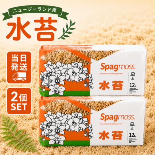 水苔は、湿地に生育するコケの一種で、ランの植え込み材料としては最適で、保水力、通気性、柔らかさ等、理想的です。すぐれたイオン交換特性を持ち、カリウム、カルシウム、マグネシウム、ナトリウム等の陽イオンと水素イオンを交換することにより、周囲のP...