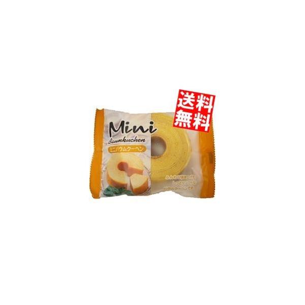 ■メーカー:タイヨーフーズ■賞味期限:製造後60日（出荷時点で最低35日は確保します）■練乳を使ったソフト感のあるプレーンバウムクーヘンです★