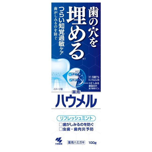 ハウメル 薬用ハミガキ 100g 小林製薬つらい知覚過敏症状を防ぐ、歯の穴を埋める4987072060674広告文責：アットツリー合同会社TEL 050-3184-1221※商品パッケージは変更の場合あり。メーカー欠品または完売の際、キャン...