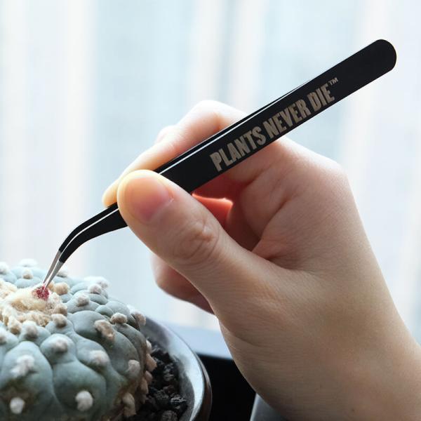 「PLANTS NEVER DIE（不死身の植物）」のピンセットです。軽量で細かな作業ができるピンセットがあると便利なのでおすすめです。多肉植物の中には、トゲの生えているものもあります。また、手に持ったままだと土にうまく植えられないことも。...