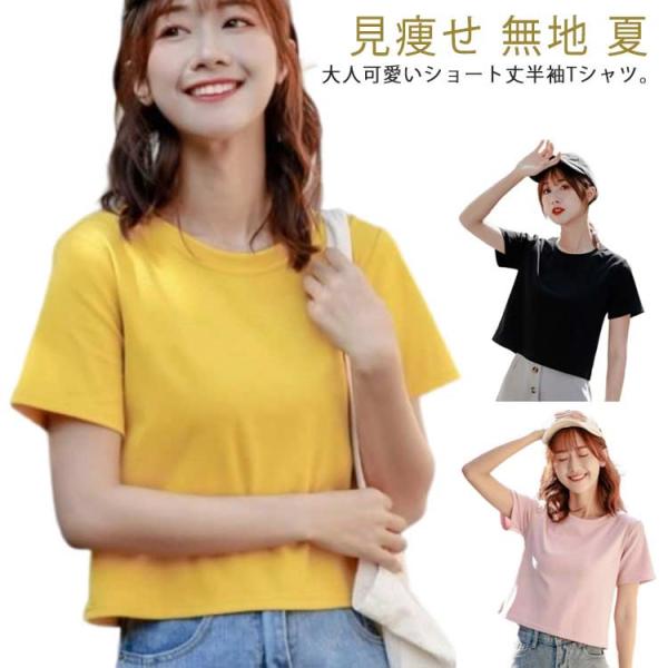 【M】肩幅36cm バスト88cm 袖丈14cm 着丈47cm おすすめ体重46.5-52kg【L】肩幅38cm バスト92cm 袖丈15cm 着丈49cm おすすめ体重52.5-58kg【XL】肩幅40cm バスト96cm 袖丈16cm ...