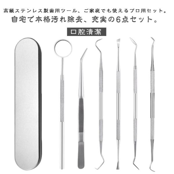 6点セット（歯用ミラー、鎌形ツールｘ3、鍬型ツール、ピンセット）