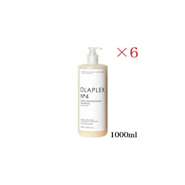 ココナッツ由来のアミノ酸系の界面活性剤でやさしくケアできるシャンプーです。サロンスタイルの再現性や持続性を高めながら汚れを洗い流します。13種植物成分が毛髪と同時に健康な毛髪を育むための土台となる頭皮をケアします。内容量：1000ml×6個