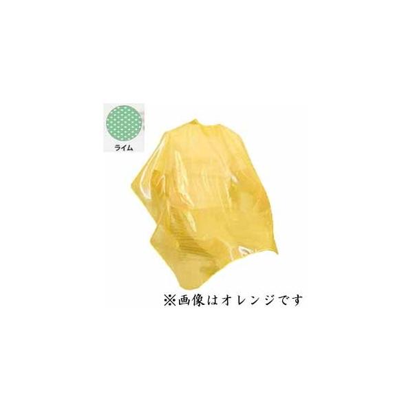 袖なしパーマ＆シャンプークロス美容室・理容室で使われるパーマ・シャンプー（フロント）クロス。透明感のある涼しげな見た目で、爽やかなスタイルを演出。完全防水加工。用途カット：-パーマ：◎シャンプー：◎ヘアダイ：○(※ブラックのみ)●サイズ(約...