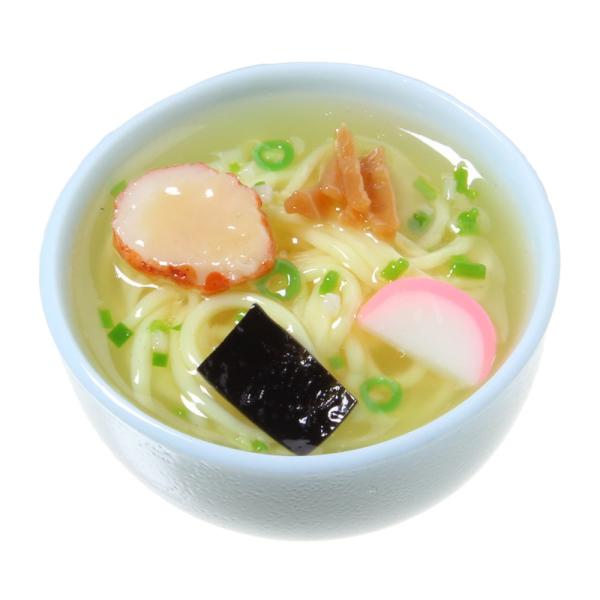 食品サンプル屋さんのマグネットは、実際に飲食店に並んでいる食品サンプル製作を手がけている職人が、ひとつひとつ手作りで作っている本格派の食品サンプルグッズです。本物を製作しているだけあって、その出来は極上！一粒一粒作られたお米、トロトロの卵、...