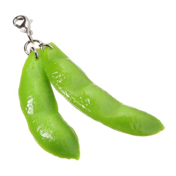 世界に誇る日本の文化、食品サンプルを製作している職人が一つ一つこだわりを込めて作ったミニチュア食品サンプルです！この3wayアクセサリー。名前の通り別売の専用パーツを付け替えることによって、カバンや財布、スマホやガラケーなどにも取り付けられ...