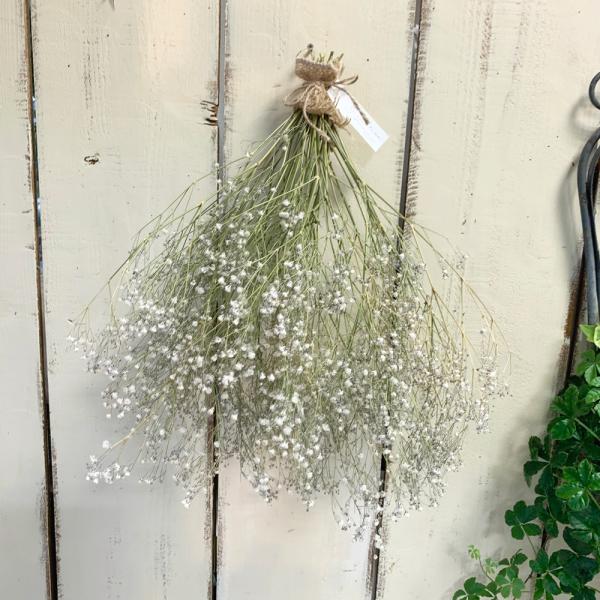 【発売日：2025年01月31日】ナチュラルでやさしい雰囲気のかすみ草。ドライフラワーのスワッグにしてセピアなイメージをお部屋に。セール！※映り込んでいる雑貨や什器などは商品に含まれません。只今増量中！ハーバリュームの材料にも！