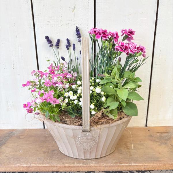 【発売日：2026年05月09日】母の日お花の寄せ植え遅れてごめんね旬な花苗や鉢を華やかに春らしく組み合わせてお届け！その時の仕入れでカーネーションとマーガレットや、季節のお花など春のお花をバスケットに組み合わせてお作りします。サイズ高さ約...