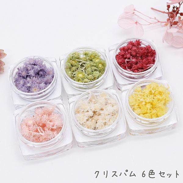 ドライフラワー クリスパムの6色セットです♪レジン封入やアロマワックスバー、ガラスドーム封入にオススメです。5mm前後の小さな花がたくさん付いてて可愛いです。■　内容量：6色セット■　サイズ：約5mm前後■　カラー：エンジェルグリーン/エン...