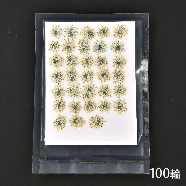 押し花 レジン用 ドライフラワー レースフラワー 1シート 約100輪[ホワイト]です。レジン作品、ネイル、シーリングスタンプ用への使用もおススメです。1つの箇所に4枚程度のドライフラワーが重なっています。画像をご覧ください。薄く脆い繊細な...
