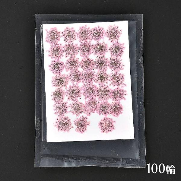 押し花 レジン用 ドライフラワー レースフラワー 1シート 約100輪[ピンク]です。レジン作品、ネイル、シーリングスタンプ用への使用もおススメです。1つの箇所に4枚程度のドライフラワーが重なっています。画像をご覧ください。薄く脆い繊細なド...