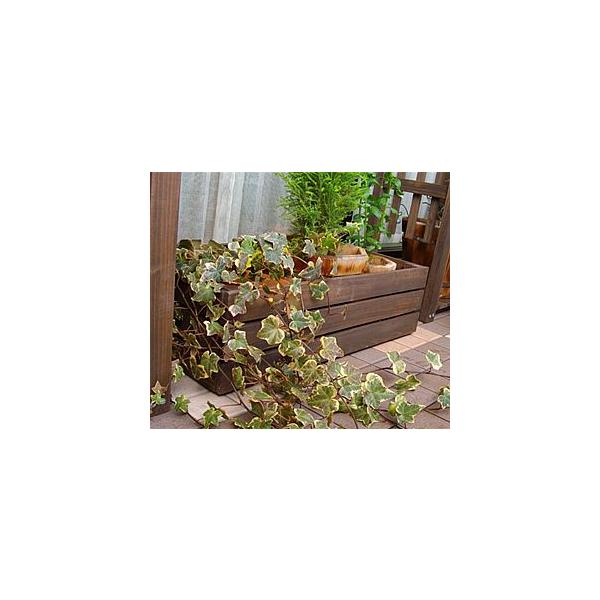 商品番号：jspc-730スペック●サイズ（ｍｍ）：幅730×奥行320×高さ210収納内寸（幅680×奥行295×高さ210mm）●材質：杉天然木 （ステイン系塗装） ●形状：組立て式●原産国：中国もっと説明・・・ 当店自慢のオリジナルデ...