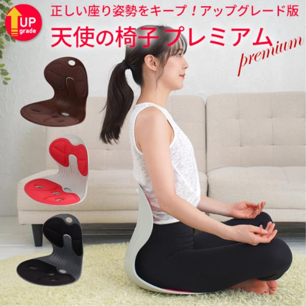 世界累計販売台数100万台突破！大人気骨盤サポートチェアの最新版。大好評の天使の椅子がさらにパワーアップして新登場。違和感なく腰骨が立つよう、支点と作用点を調整しました。その結果、姿勢がより引き締まるようになり、腰の負担が軽減することに成功...