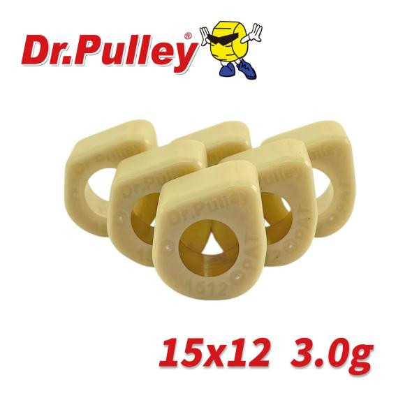 Dr.Pulley ドクタープーリー スライディングウェイトローラー φ15×12 3.0g 6個セット