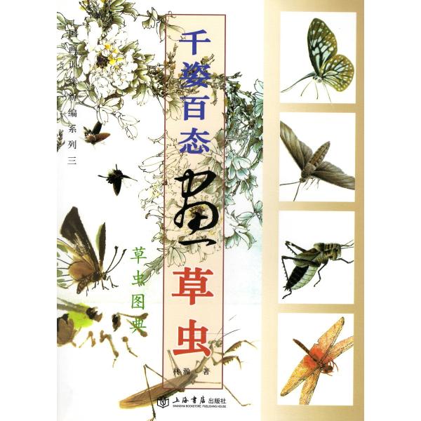 　【叢書名】国画訓練新編系列３　【編著者】林瀚著　【出版社】 上海書店出版社　【出版年月】2009/04　【商品コード】 10224138