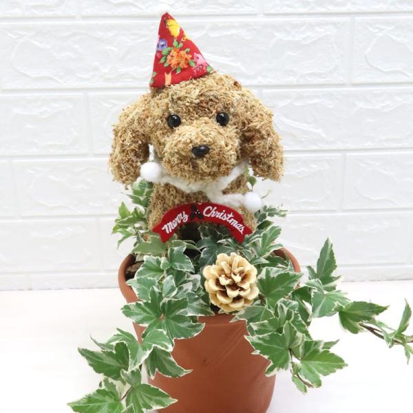 犬好きの人へのクリスマスプレゼント、おしゃれな犬グッズです。お歳暮にも喜ばれる犬のトピアリーをかわいいクリスマスの三角帽子とマフラー、クリスマスプレート、木の実でクリスマスアレンジのトピアリーにしました。12月20日までのご注文の特別価格で...