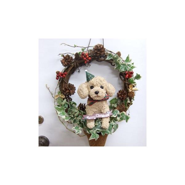 可愛い動物トピアリークリスマスリースをトイプードルのトピアリーのアイビーリースで制作しました。プードルのお色の変更はできます。白い色は水苔の色が強く真っ白になりませんのであまりお勧めではありませんができます。アトリエ花倶楽部のオリジナル商品...