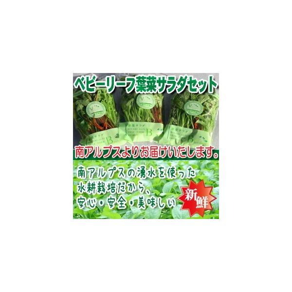 ★葉菜サラダセット★南アルプスの豊富な湧水を使い、水耕栽培で丁寧に育てられたベビーリーフ。20種類のベビーリーフの中から、その時その時に一番美味しい4〜5種類を詰めた【葉菜サラダセット】(お試しセット)です。鮮度を保つため、茎に傷を付けない...