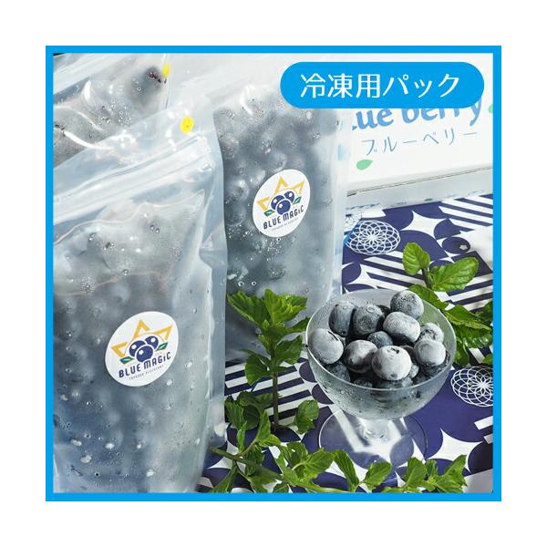 【商品名】国産 弾力感のある冷凍ブルーベリー【商品内容】冷凍約250g（1箱1~2パック入り）※ブルーベリーの品種指定は受付しておりません。【出荷目安】決済確認後、5営業日以内に出荷予定　※お届け日の指定はできません。【生産者(生産地)】ブ...