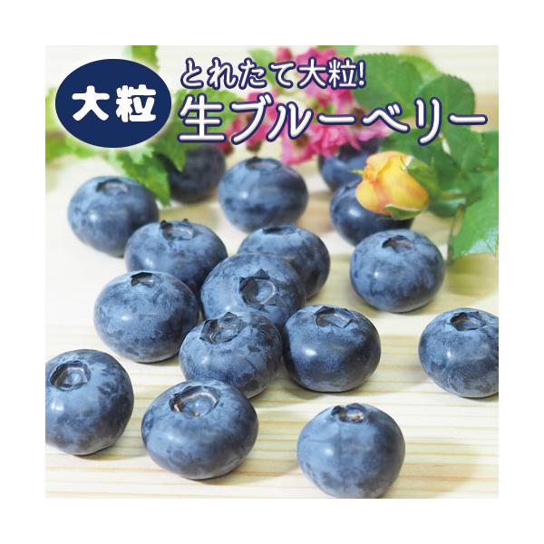 【商品名】ブルーベリー 大粒 品種MIX【商品内容】約480g（1箱4パック入） ※ブルーベリーの品種指定は受付しておりません【出荷目安】４月中旬〜６月下旬 ※ご予約受付順、順次出荷出荷時期は毎年異なり、天候によっても前後します。お届け日の...