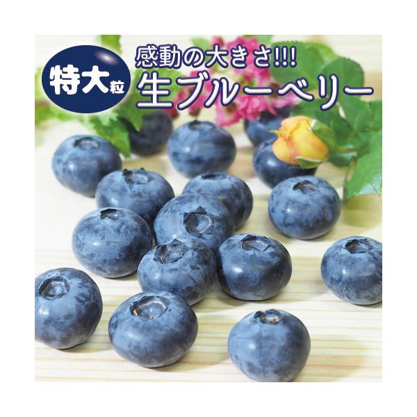 【商品名】ブルーベリー 特大粒 品種MIX【商品内容】約480g（1箱4パック入）※ブルーベリーの品種指定は受付しておりません【出荷目安】5月上旬〜完売次第 ※ご予約受付順、順次出荷出荷時期は毎年異なり、天候によっても前後します。お届け日の...