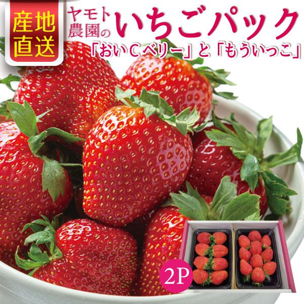 【商品名】山梨県産 ヤモト農園のいちご【商品内容】「おいCベリー」または「もういっこ」 6粒〜15粒入り（240g）×2パック※品種は選べません。【生産者(生産地)】ヤモト農園（山梨県甲斐市）【配送方法】当社指定運送会社の常温便　※3月以降...