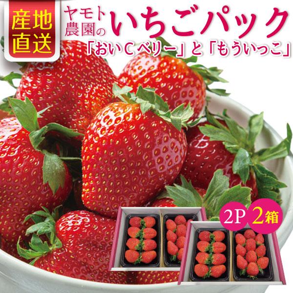 【商品名】山梨県産 ヤモト農園のいちご【商品内容】「おいCベリー」または「もういっこ」 6粒〜15粒入り（240g）×2パックを2箱　※合計4パック※品種は選べません。【生産者(生産地)】ヤモト農園（山梨県甲斐市）【配送方法】当社指定運送会...